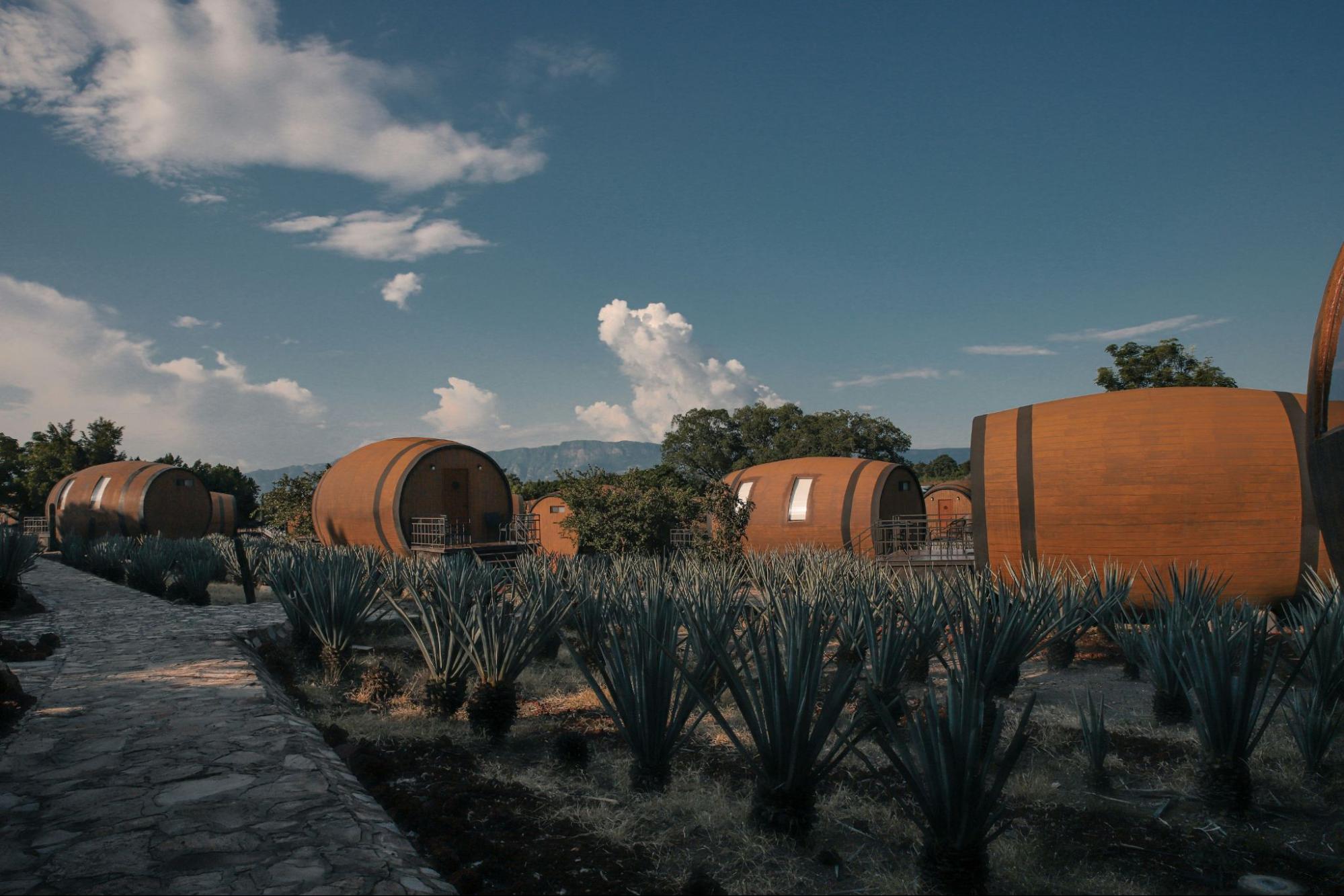Tequila Route by car: distilleries, towns and tradition